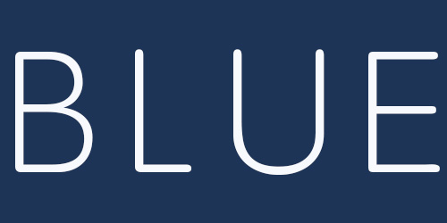 Dan Blue III for Treasurer - Leadership, Issues & Local Services
